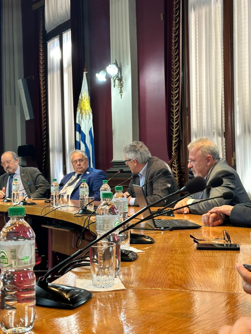 ATIVIDADES ANIMES 2024 - FUNITA